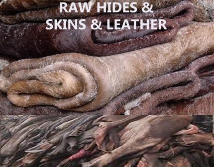 Hides and Skins Courses in Kenya - Best Certificate & Diploma Colleges