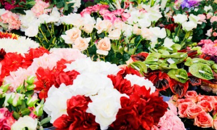 Horticulture & Floriculture Course - Best Certificate & Diploma Colleges
